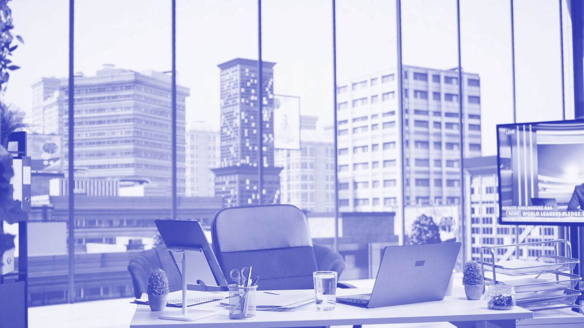 NAB Private Wealth appoints new CIO — Capital Brief