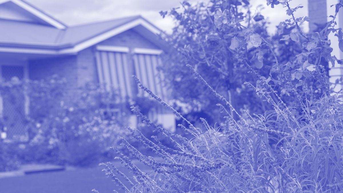 Regis Healthcare shares gain on aged care reforms — Capital Brief