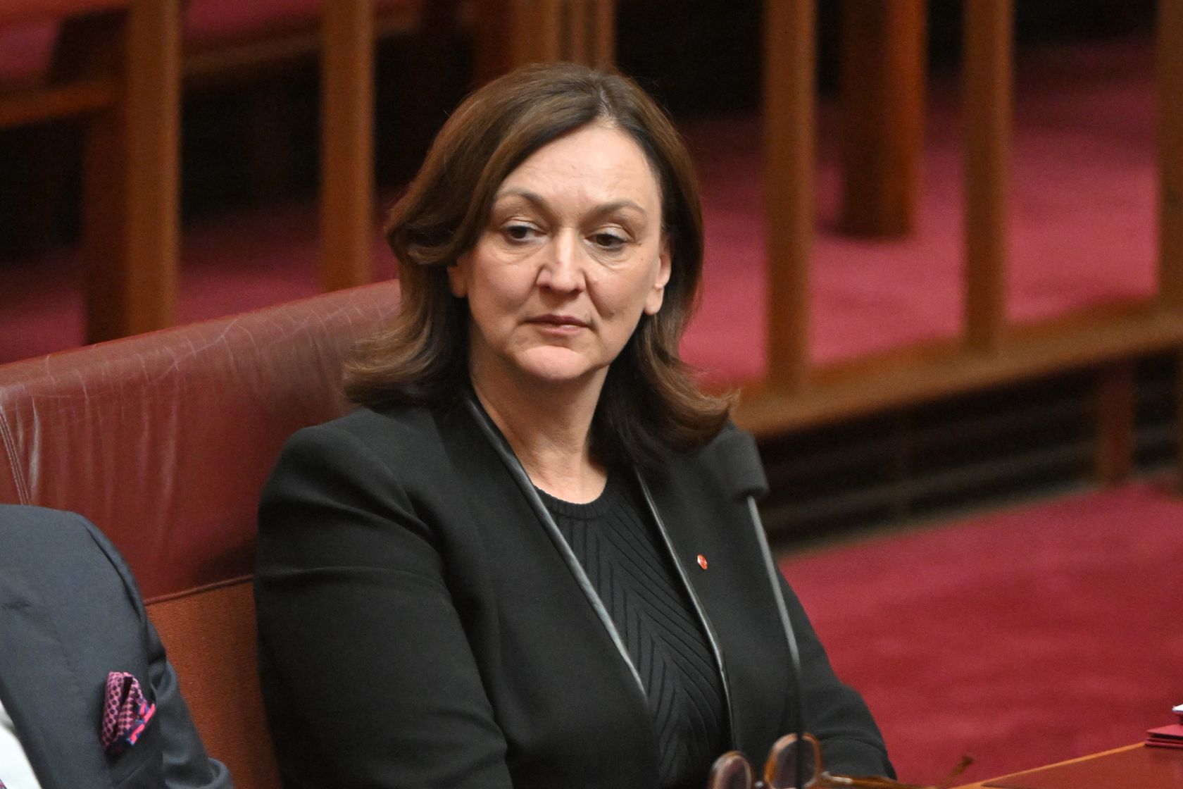 Amelia Hamer's uphill Kooyong battle will answer a key political ...