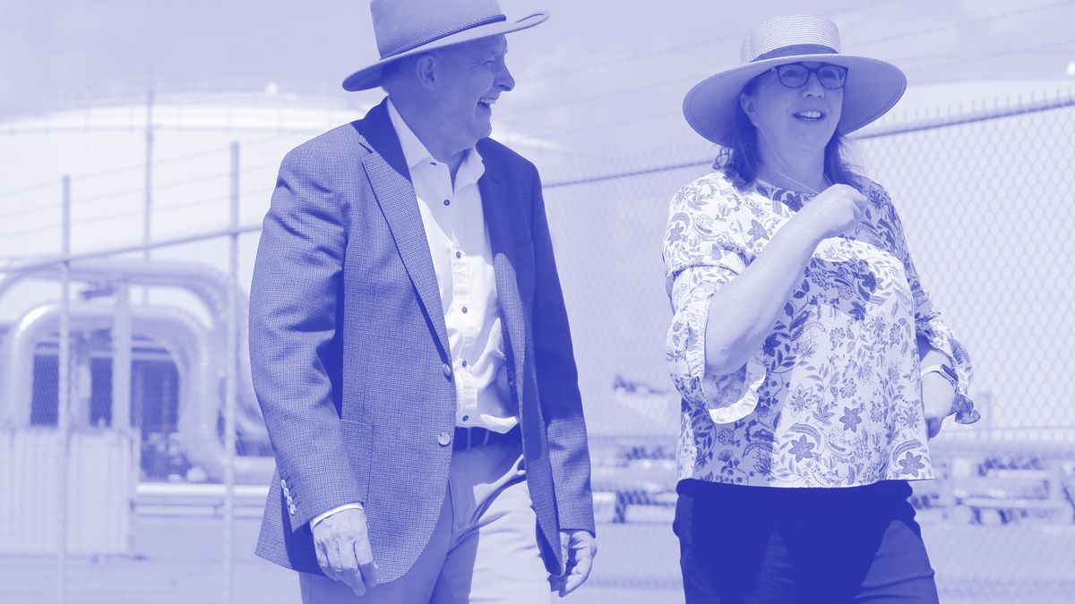 Labor's constitutional headache — Capital Brief